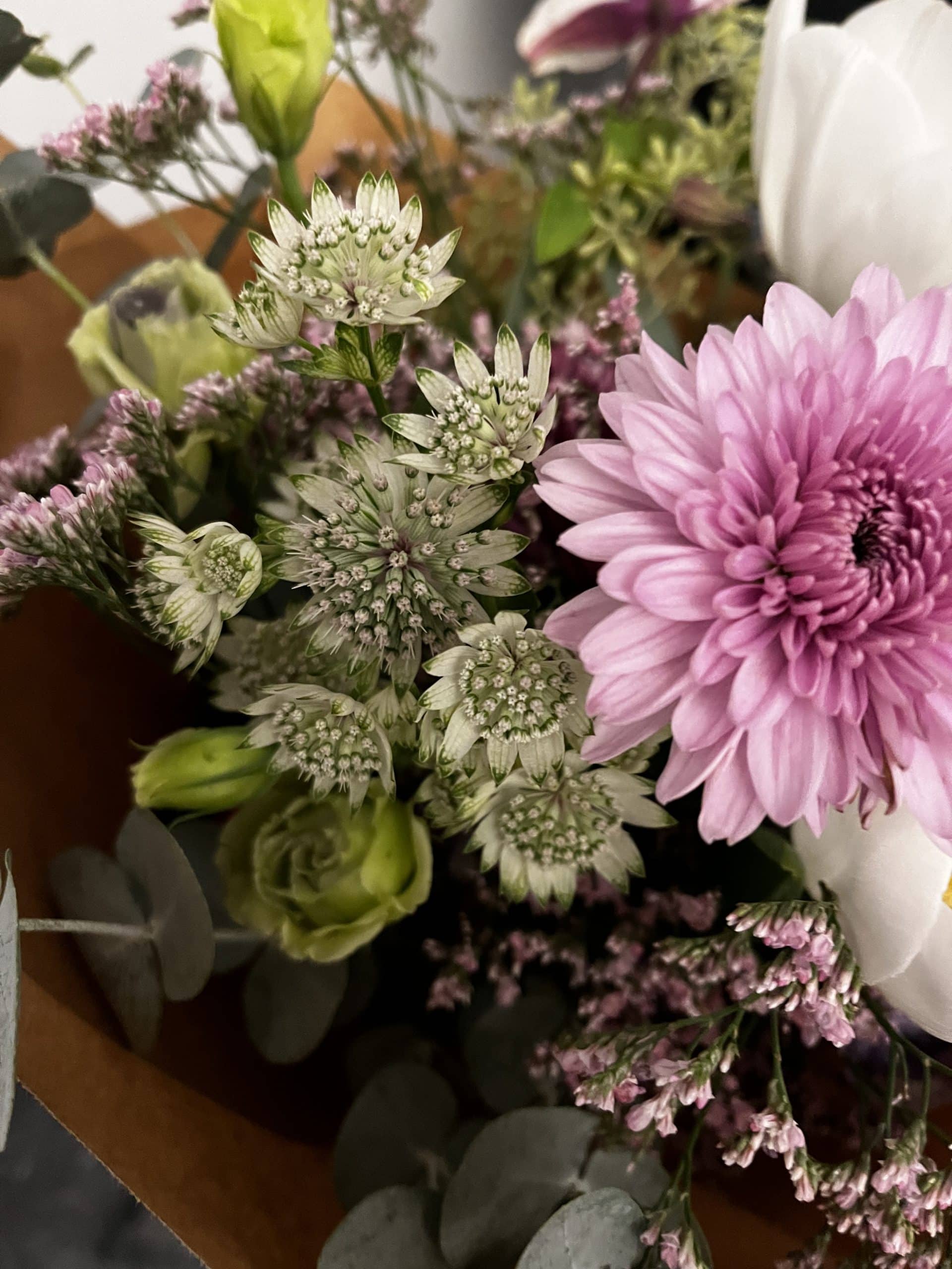 tunascolorfulworld - Inspiration #2: Was inspiriert mich?